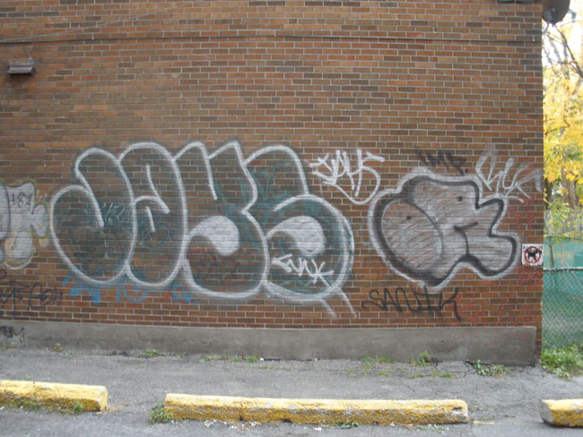 Jays graffiti photos